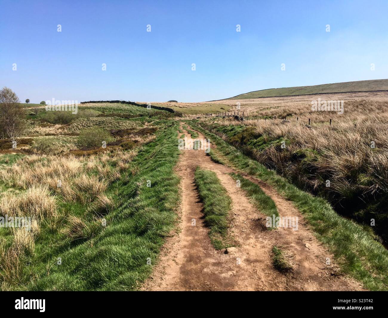 Brughiera hi-res stock photography and images - Alamy