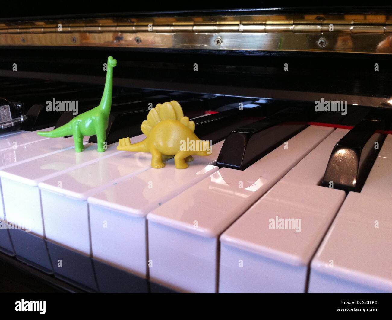 Dinosaurs on the Piano Stock Photo - Alamy