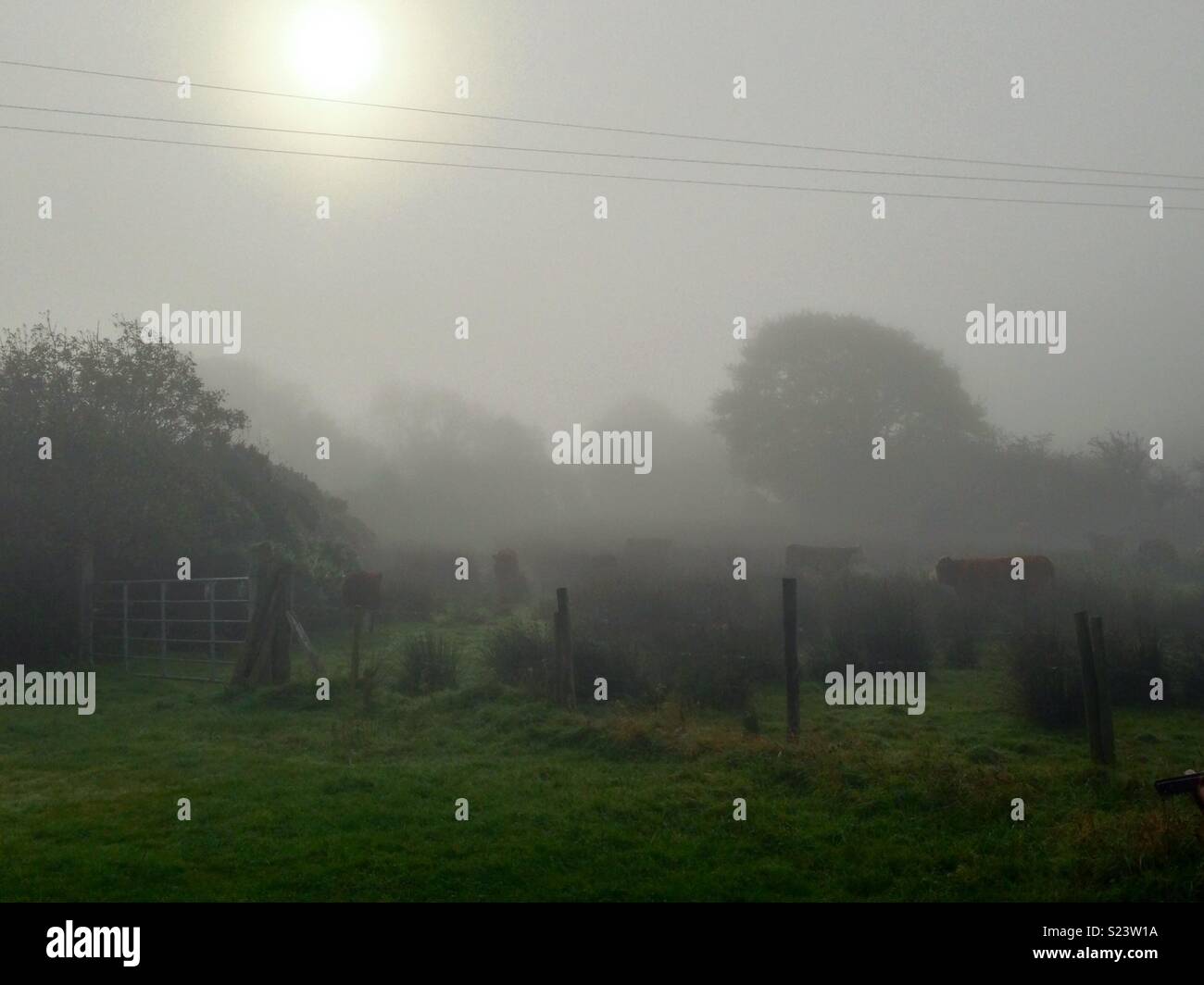 Rural countryside farm life Stock Photo - Alamy