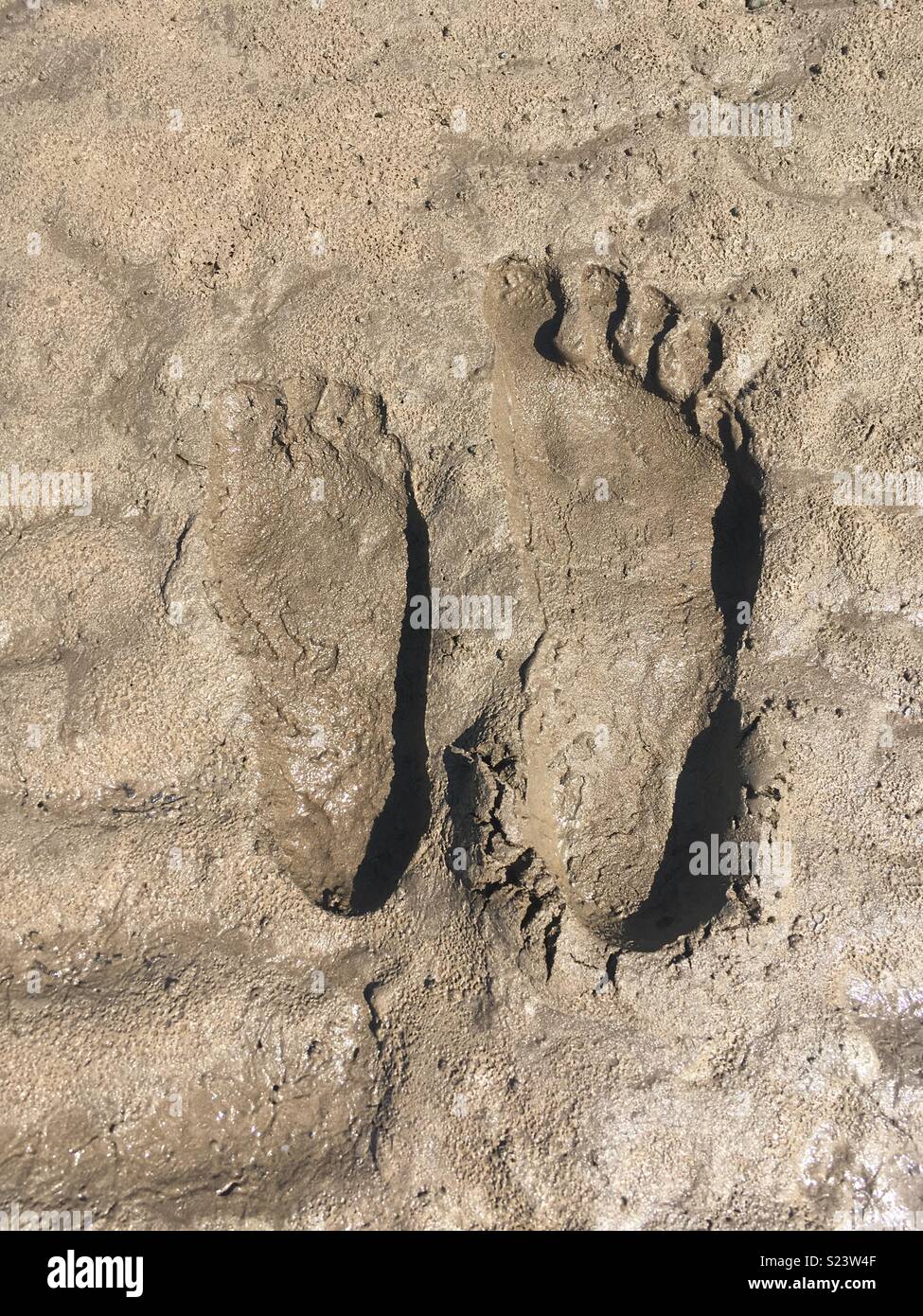 Footprints in mud hi-res stock photography and images - Alamy