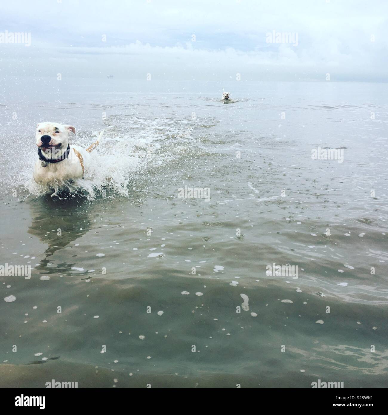 Beside The Seaside Stock Photos & Beside The Seaside Stock Images - Alamy