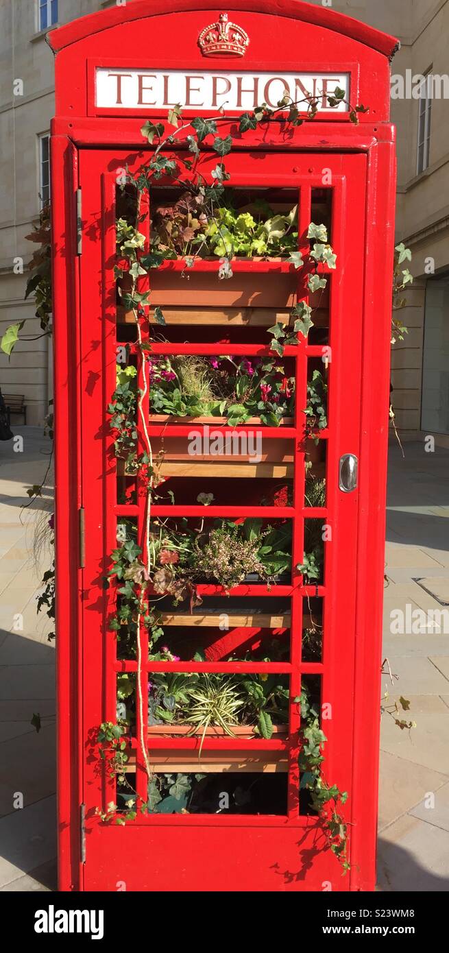 Red phone box and greenhouse in Bath, England Stock Photo - Alamy