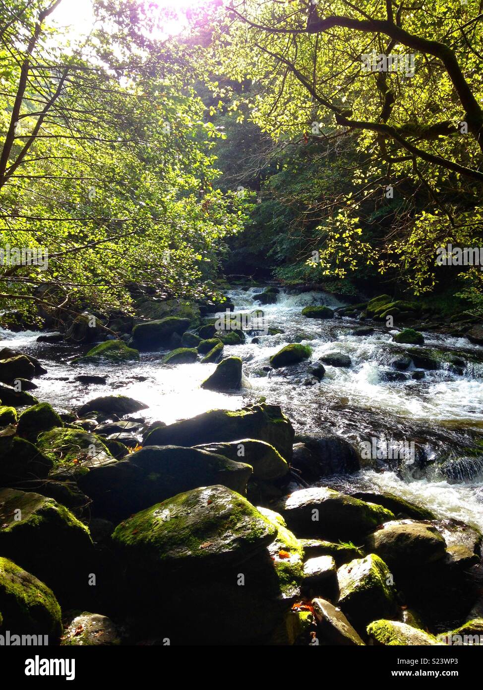 Mossy rocks hi-res stock photography and images - Alamy