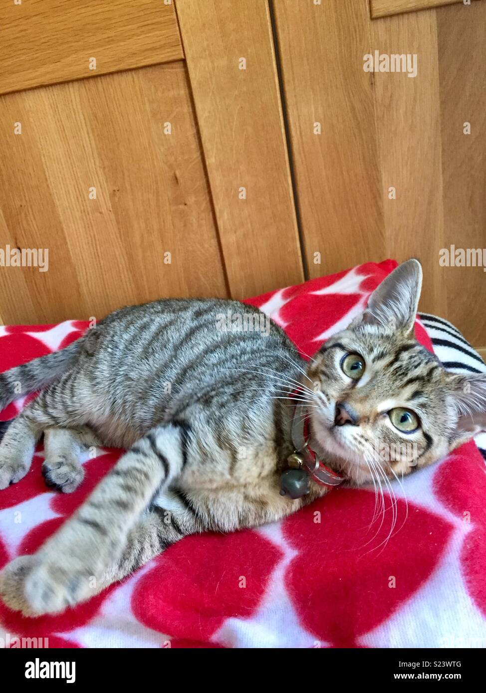 Love rest hi-res stock photography and images - Alamy