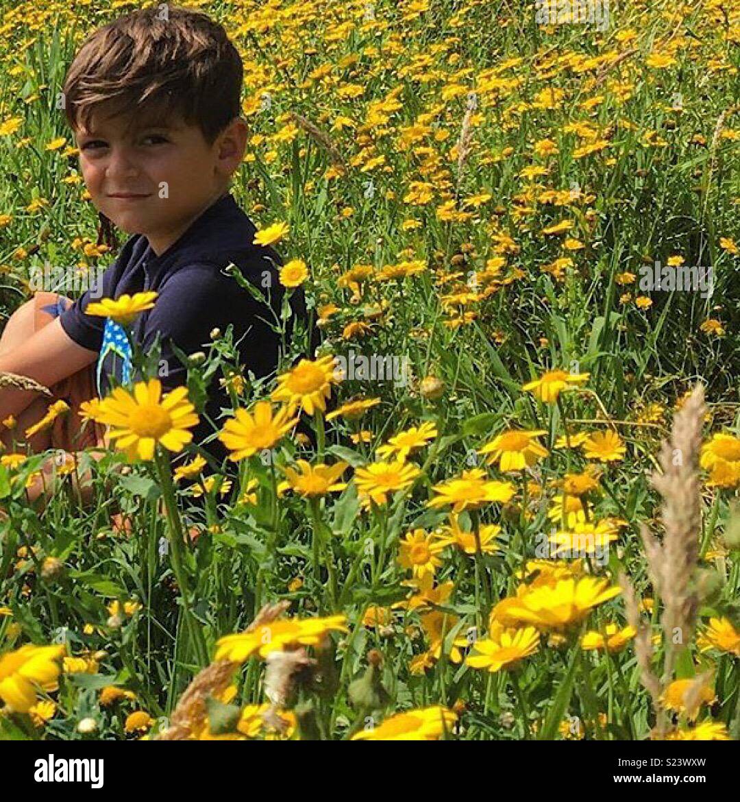 Boy in field of flowers Stock Photo - Alamy