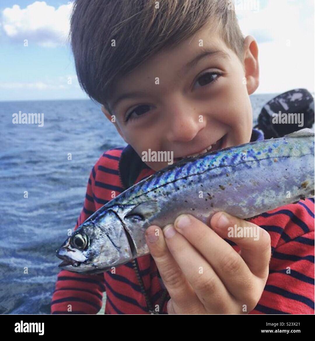 Boy holding mackerel Stock Photo - Alamy