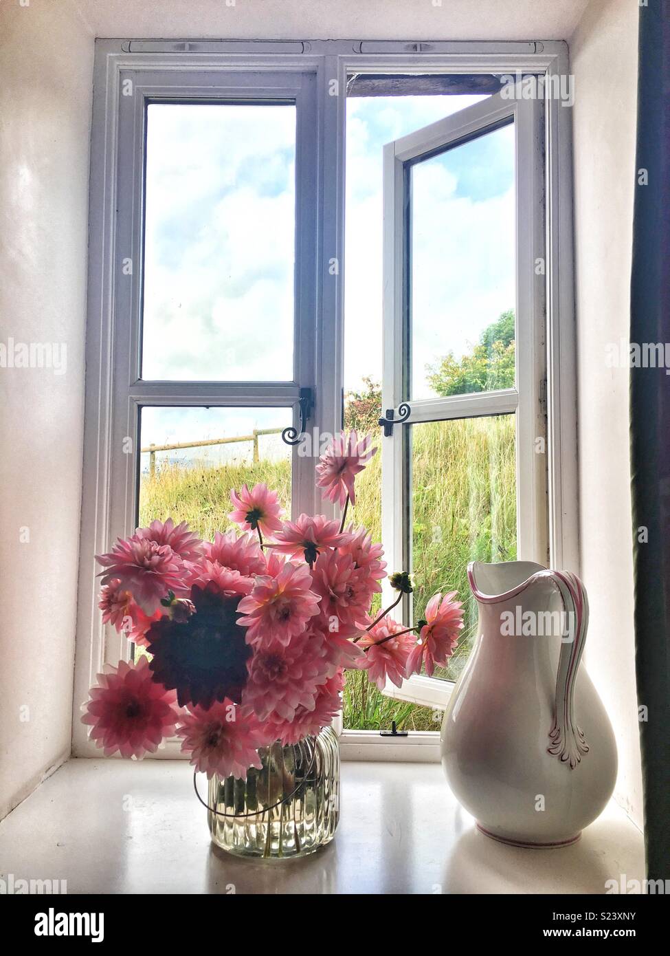 Floral window scene Stock Photo - Alamy