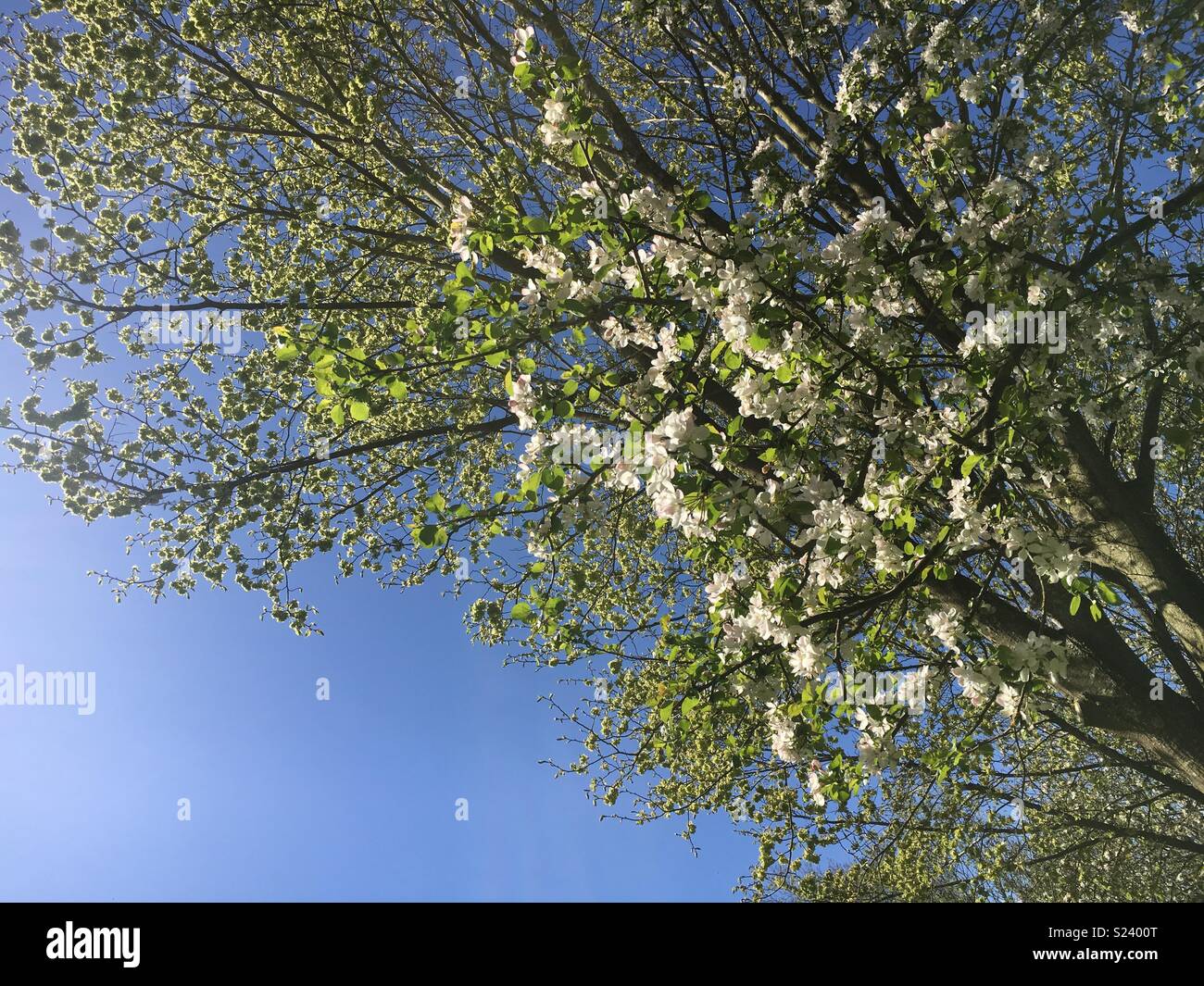 Blue sky coming hi-res stock photography and images - Alamy