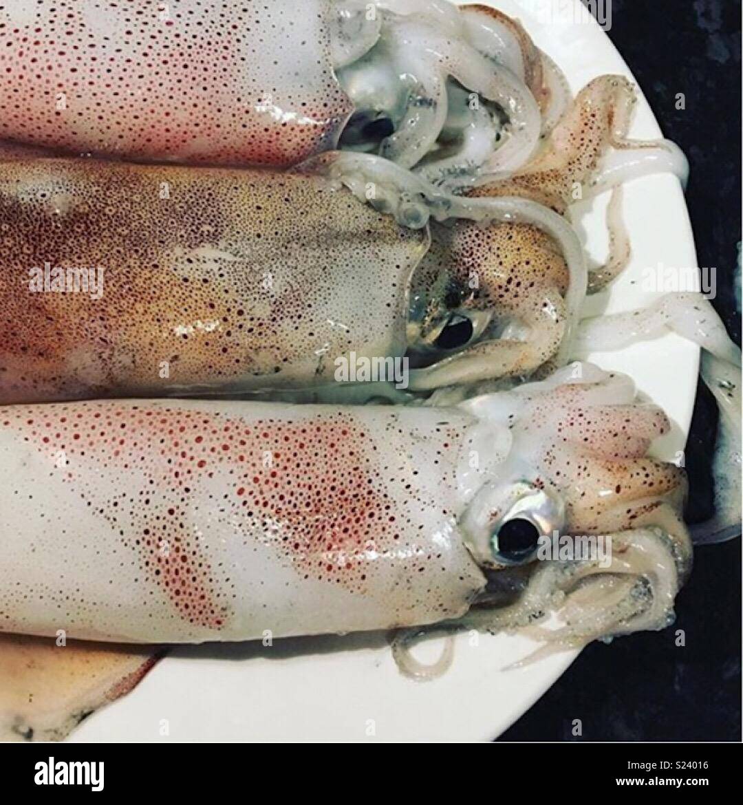 Fresh from the ocean hi-res stock photography and images - Alamy