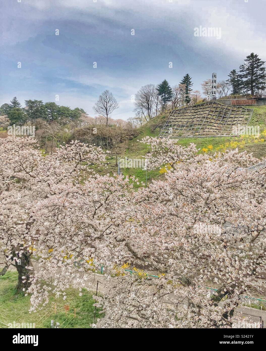 Shibata hi-res stock photography and images - Alamy