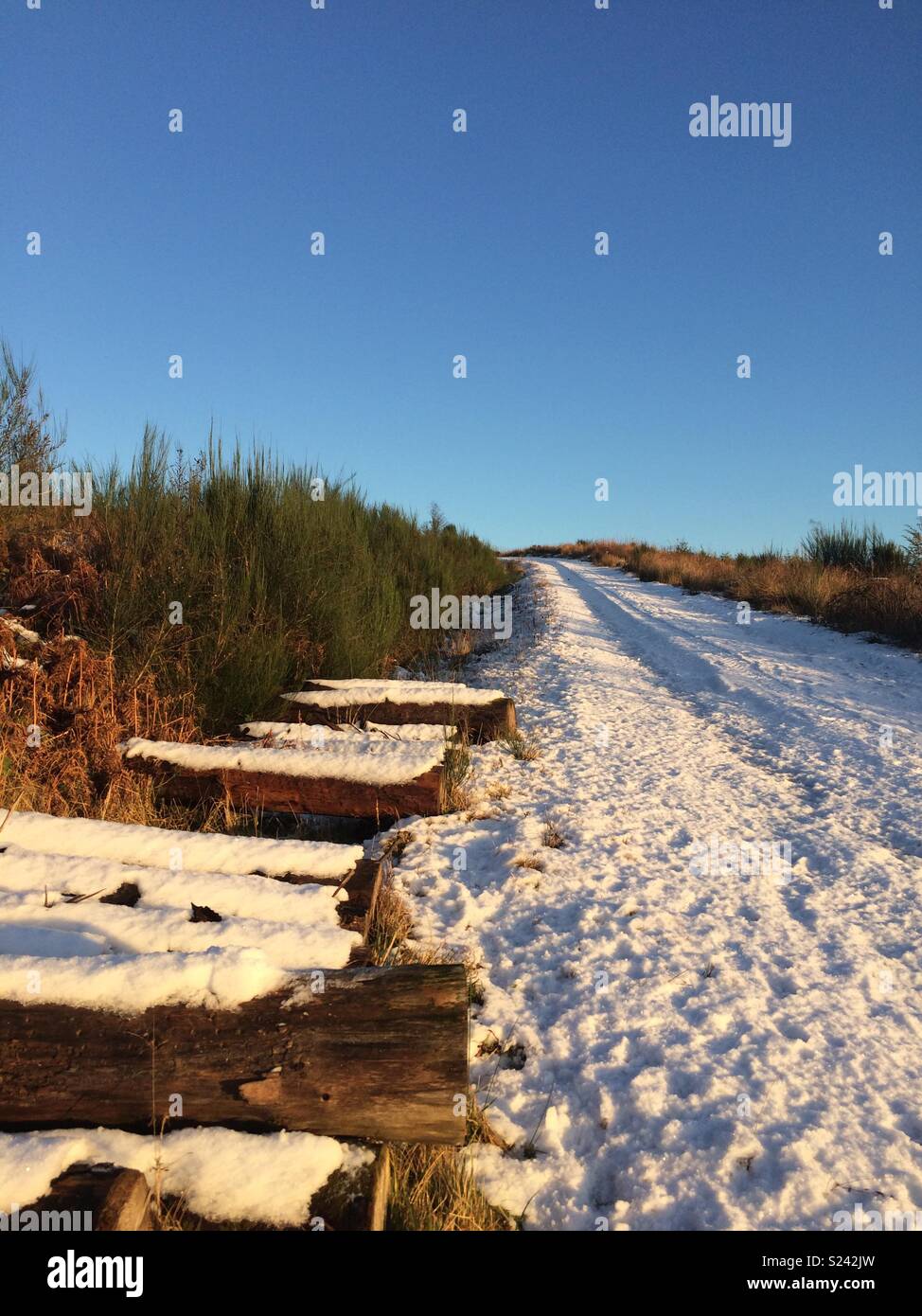 Snowy pathway on a clear day Stock Photo - Alamy