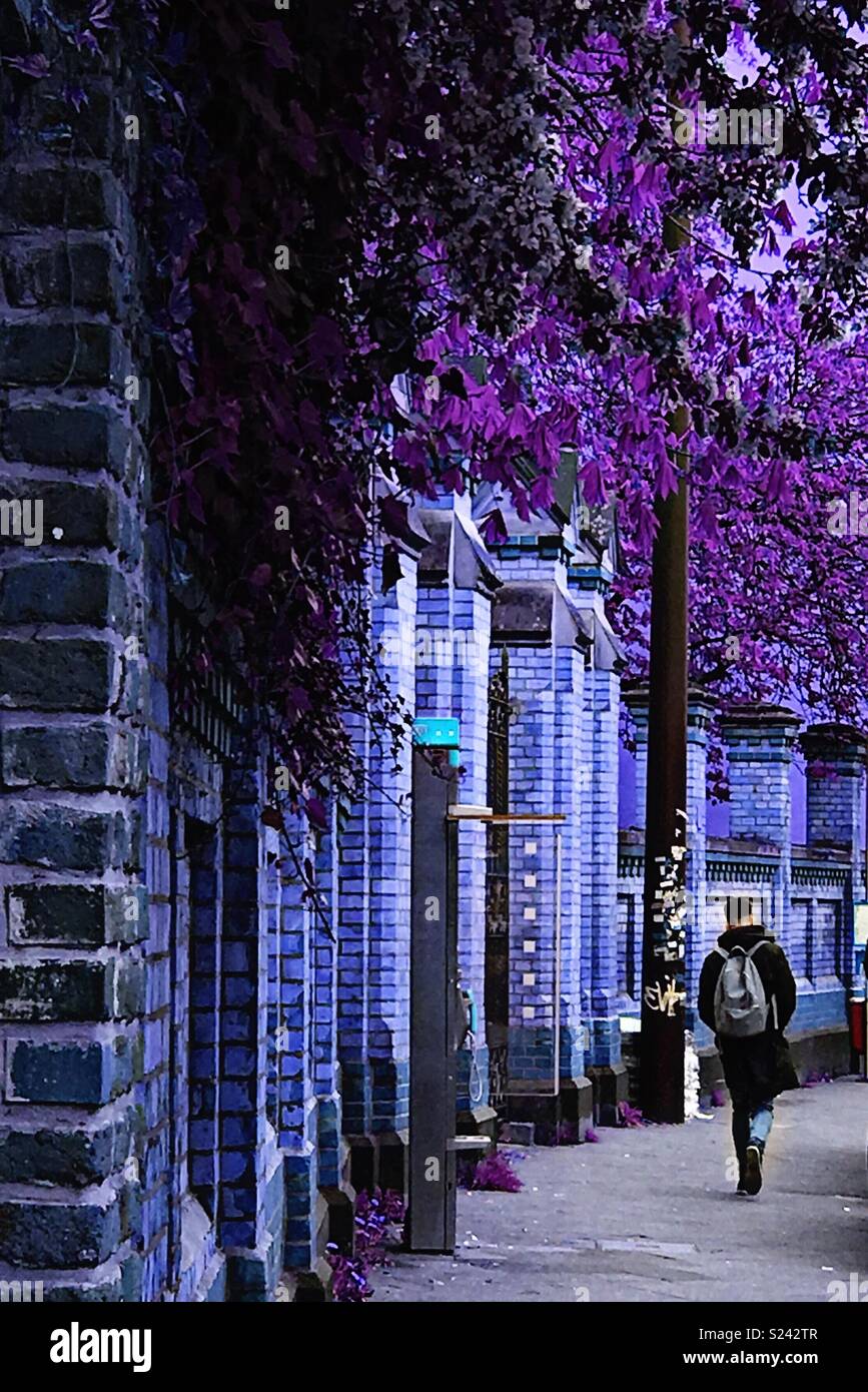 Man in lila street Stock Photo - Alamy