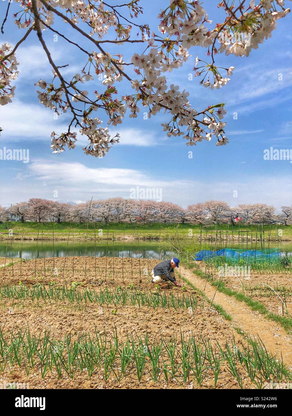 Rural japan hi-res stock photography and images - Alamy