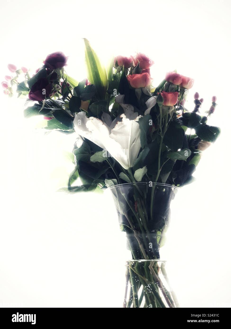 High vase hi-res stock photography and images - Alamy