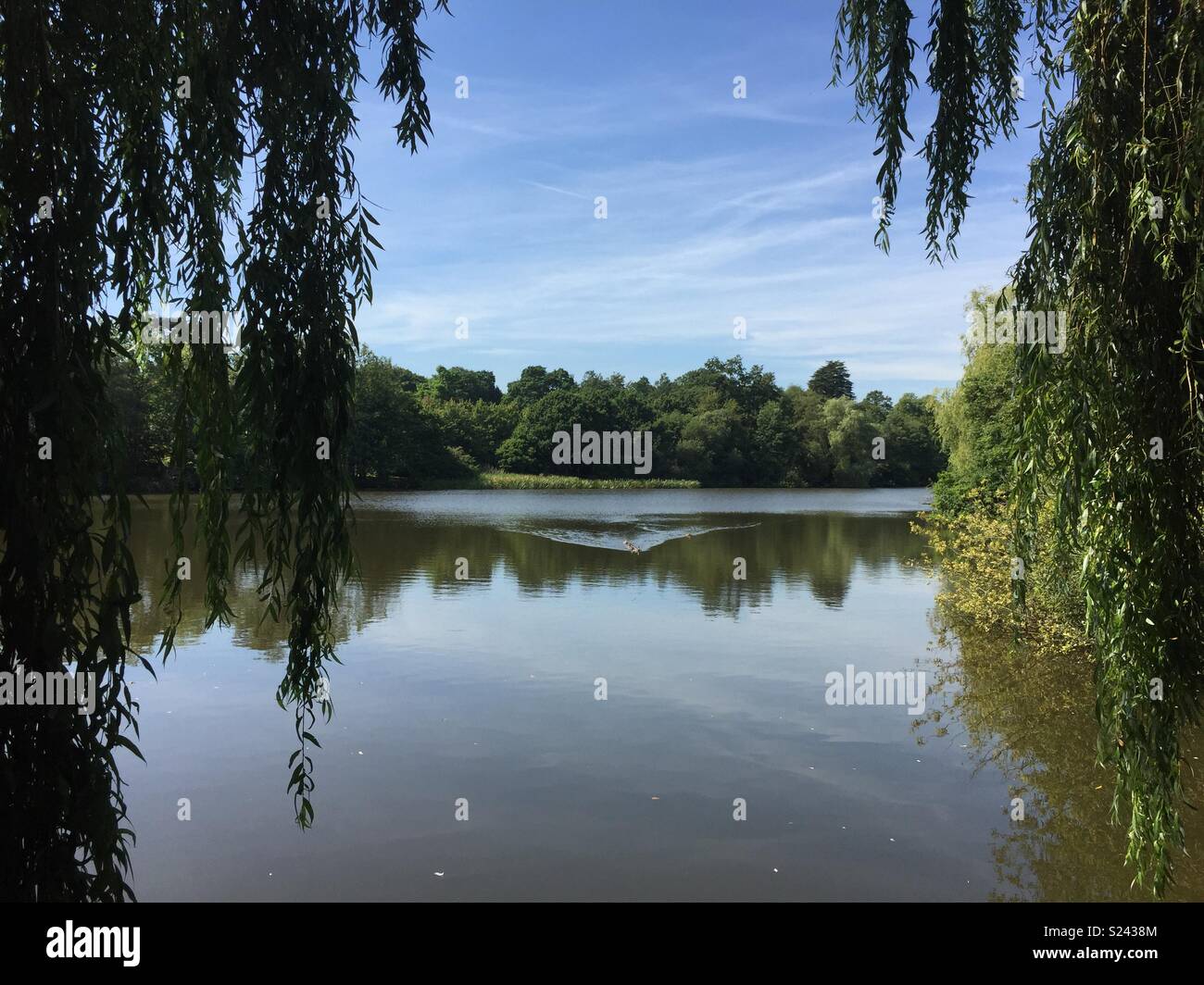 Trent park hi-res stock photography and images - Alamy