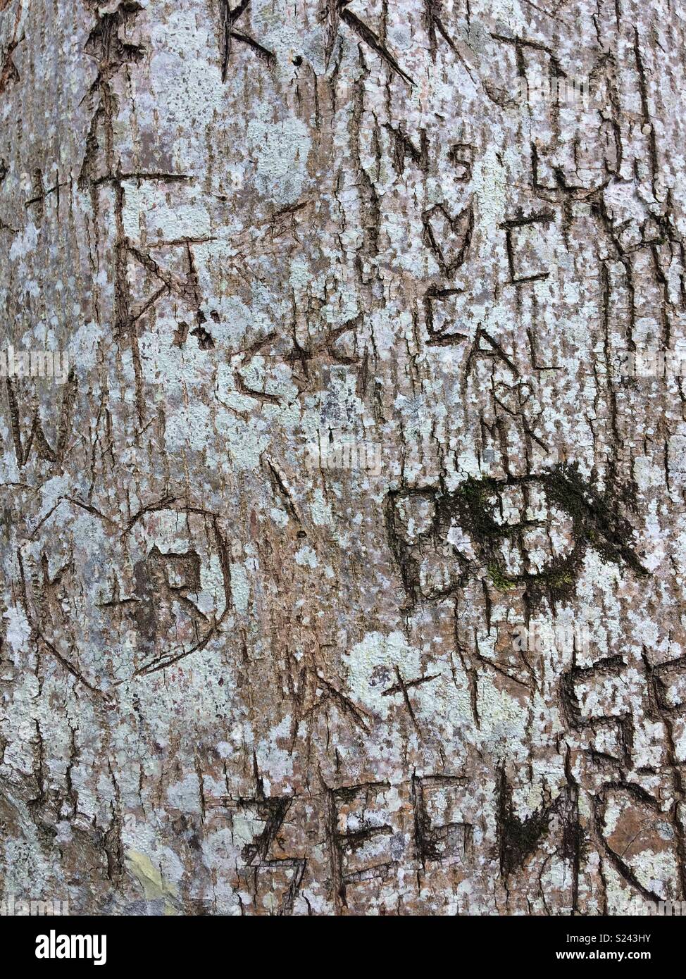 Names scratched into wood hi-res stock photography and images - Alamy
