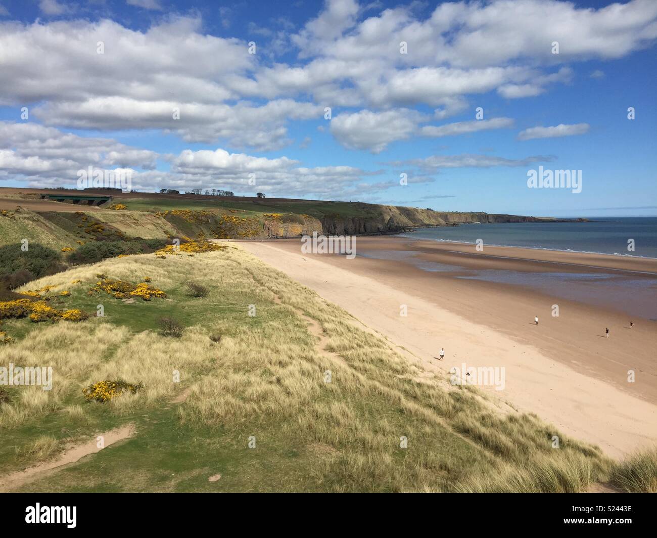 Lunan bay scotland hi-res stock photography and images - Alamy