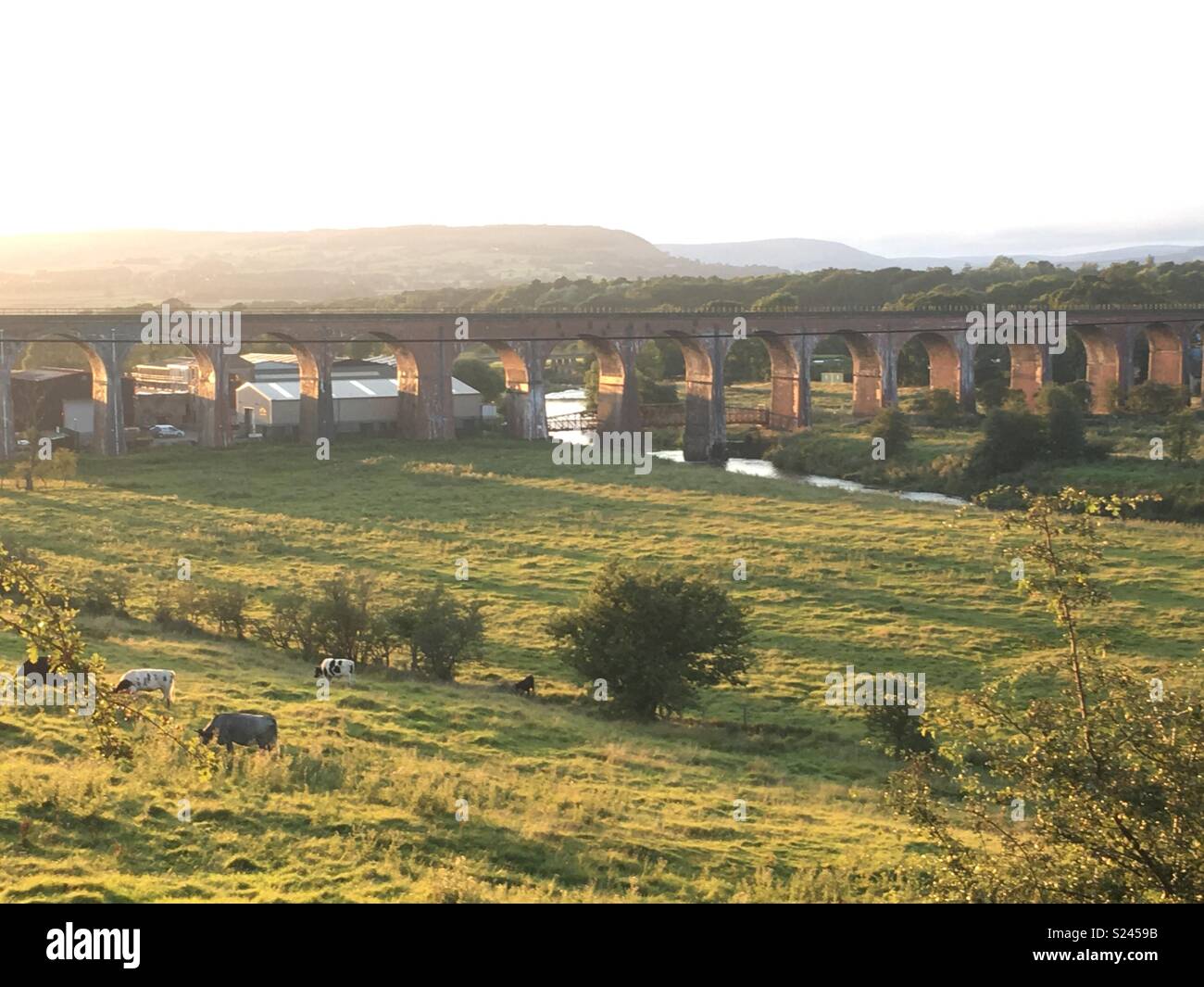 Ribble Valley Viaduct High Resolution Stock Photography and Images - Alamy