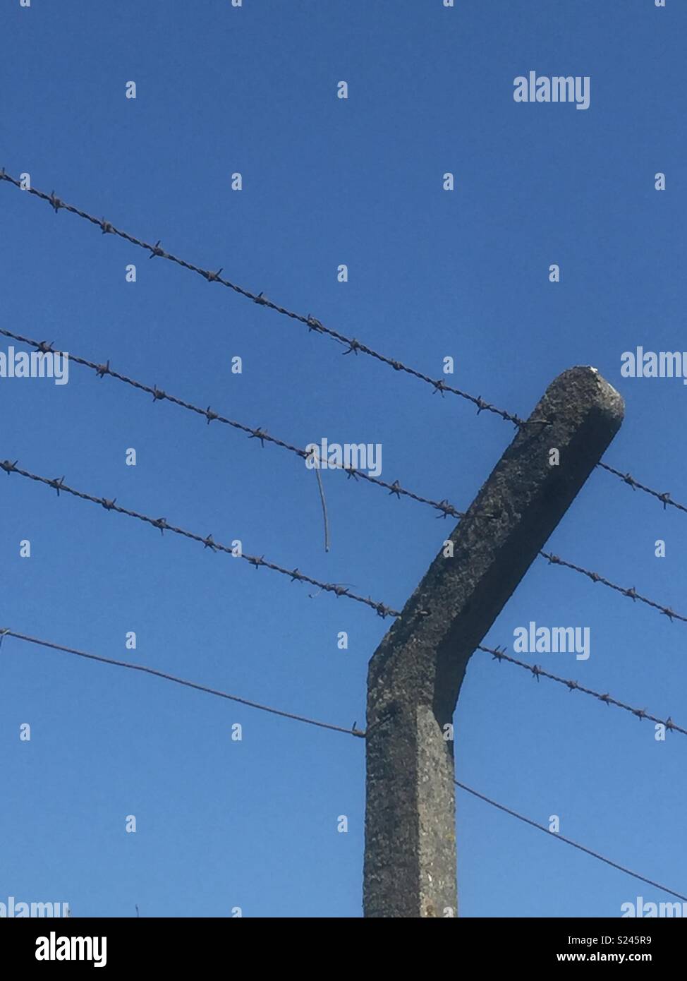 Wire fence with concrete post Stock Photo - Alamy