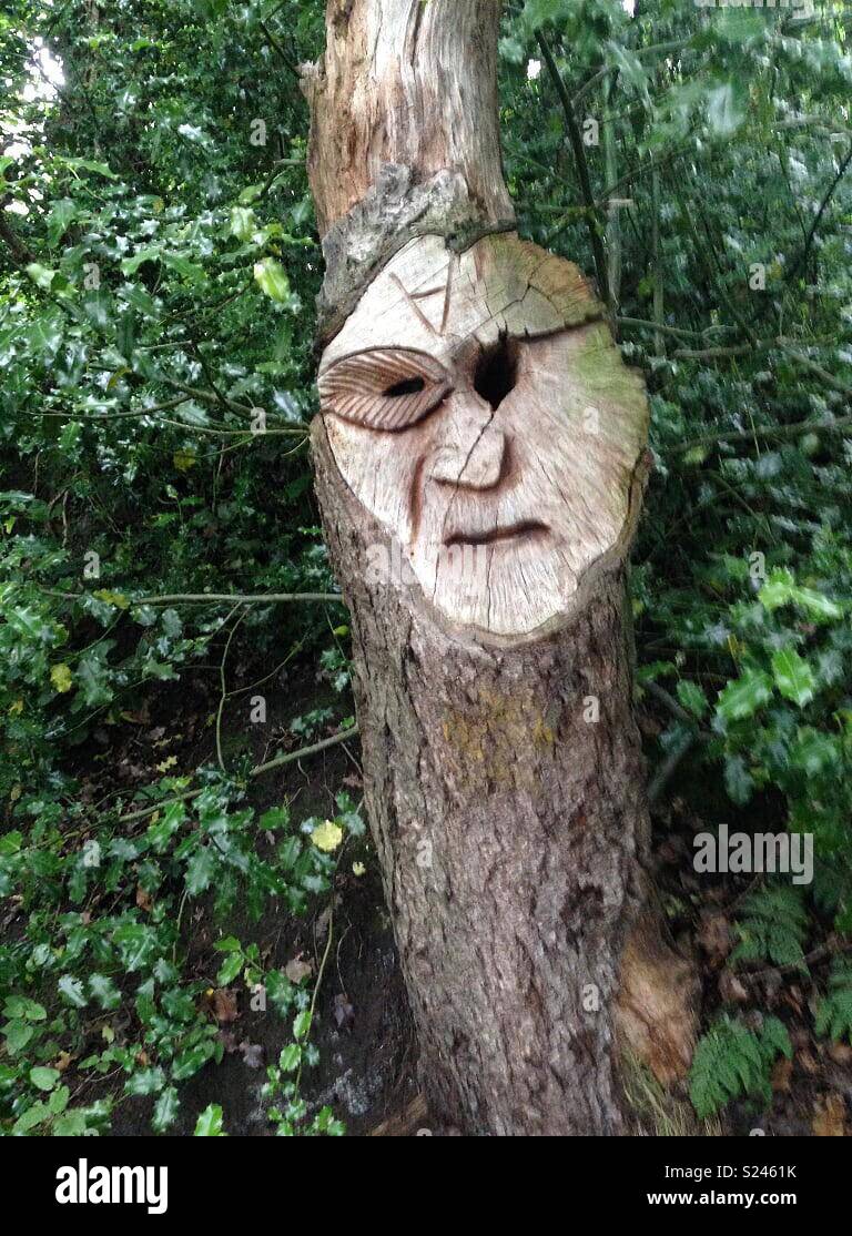 Tree face hi-res stock photography and images - Alamy