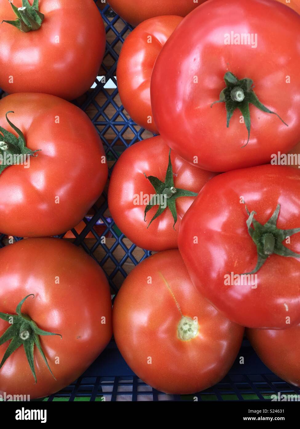 Giant tomatoes hi-res stock photography and images - Alamy