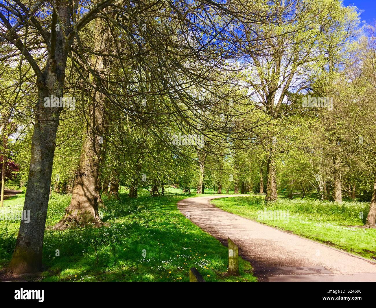 Cardiff Bute Park High Resolution Stock Photography and Images - Alamy