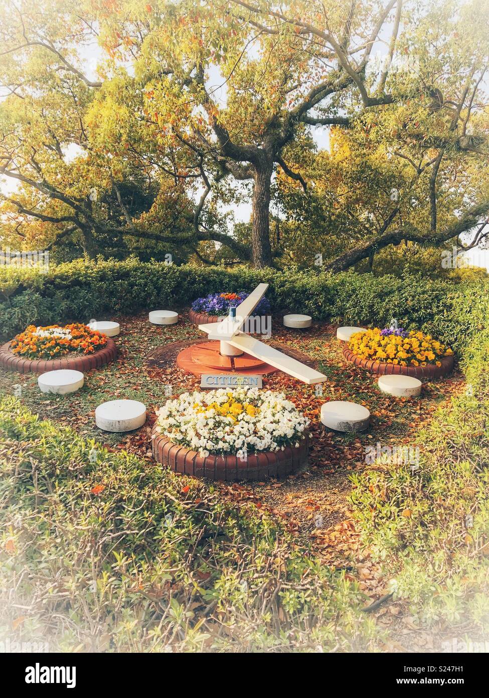 Floral clock in the Hiroshima Peace Memorial Park Stock Photo - Alamy