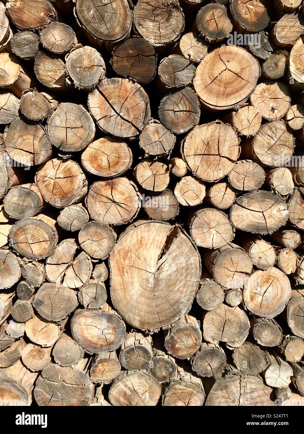Pile of logs or lumber at a mill Stock Photo - Alamy