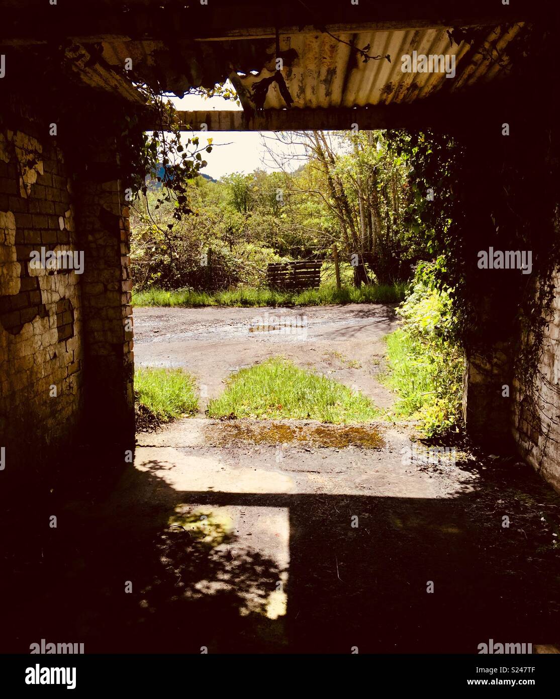 Garage in sunshine hi-res stock photography and images - Alamy