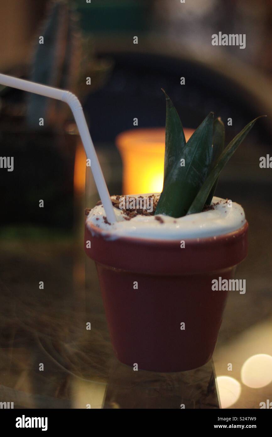 Plant pot Cocktail Stock Photo - Alamy