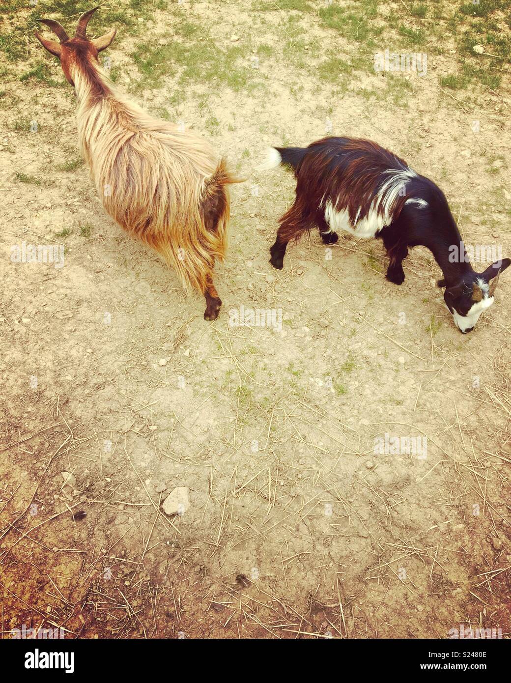 Worn ground hi-res stock photography and images - Alamy