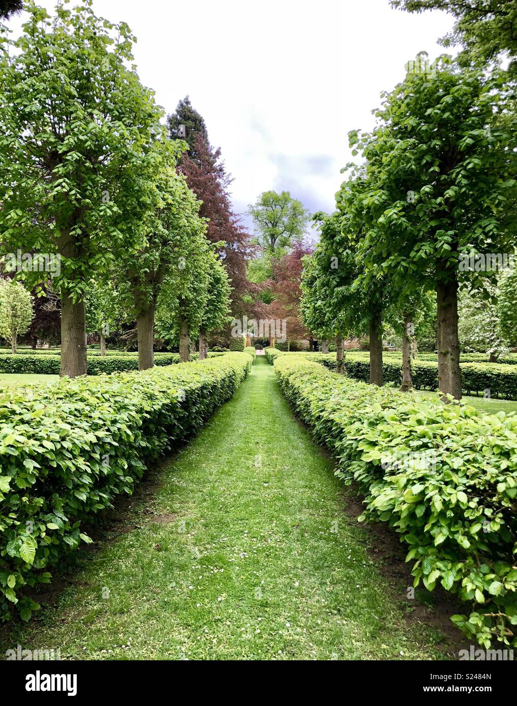 Symmetry nature hi-res stock photography and images - Alamy