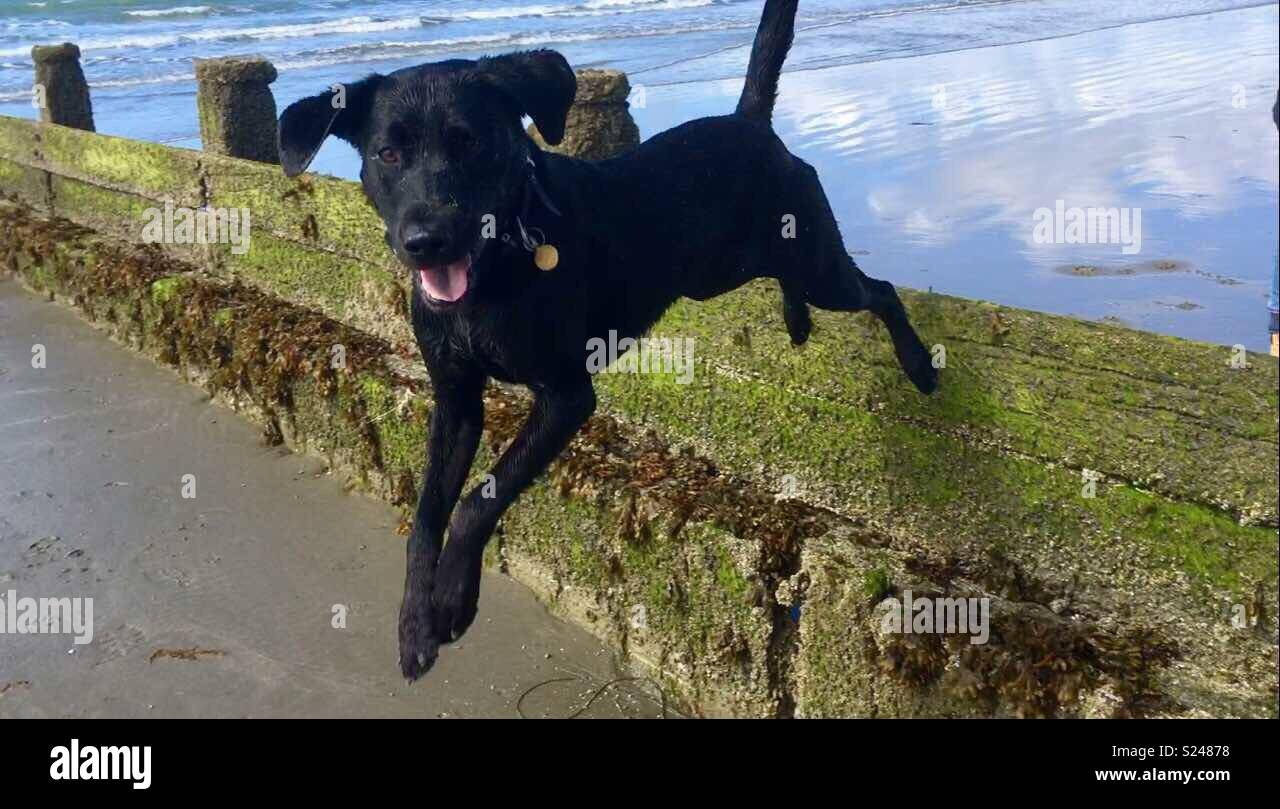 Flying lab hi-res stock photography and images - Alamy