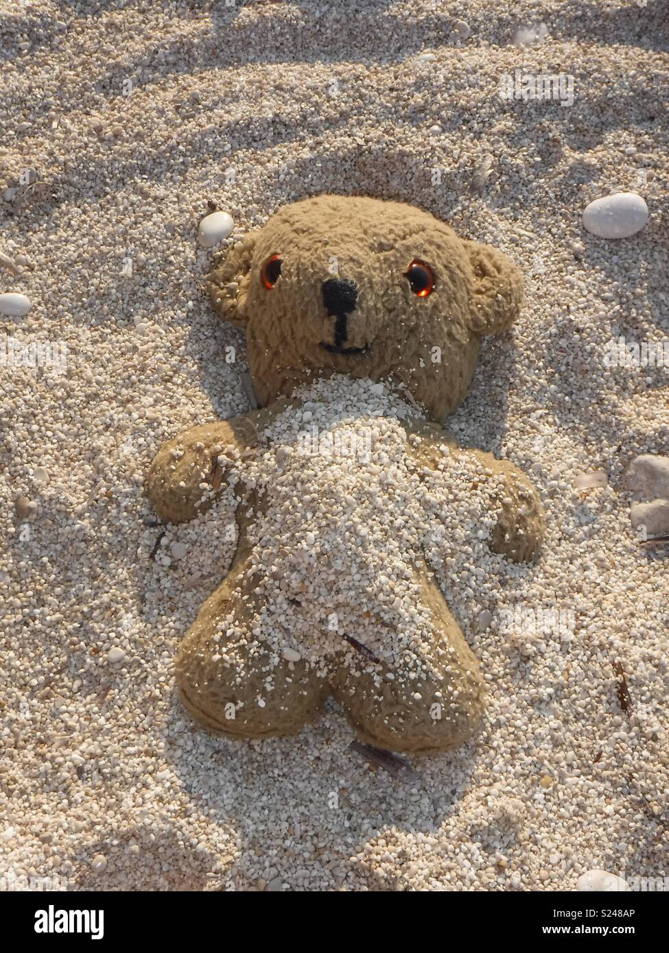 Teddy Bear Beach High Resolution Stock Photography and Images - Alamy