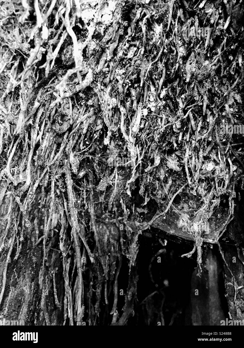 Black hole activity Black and White Stock Photos & Images - Alamy