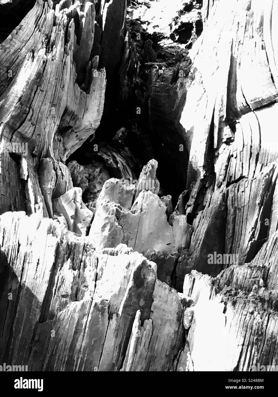 Risk log Black and White Stock Photos & Images - Alamy