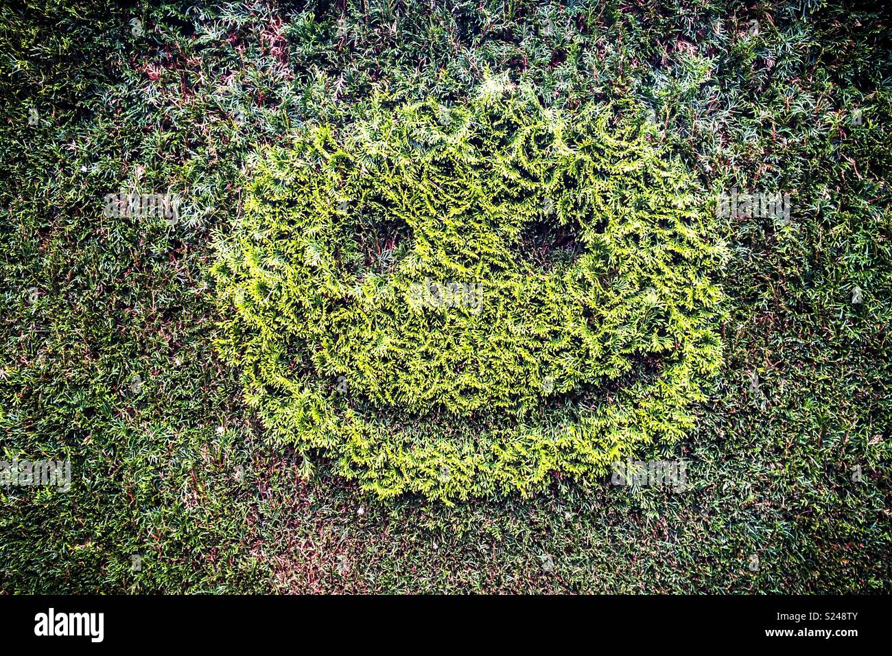 Green Emoticon Emoji cut out of a hedge Stock Photo - Alamy