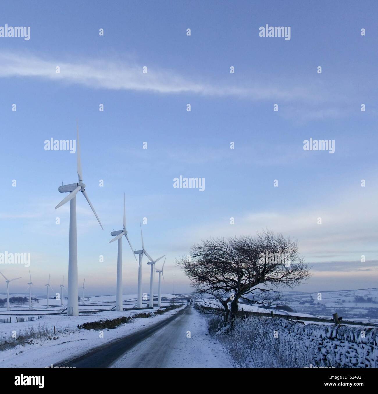 Tree and wind turbines Stock Photo - Alamy