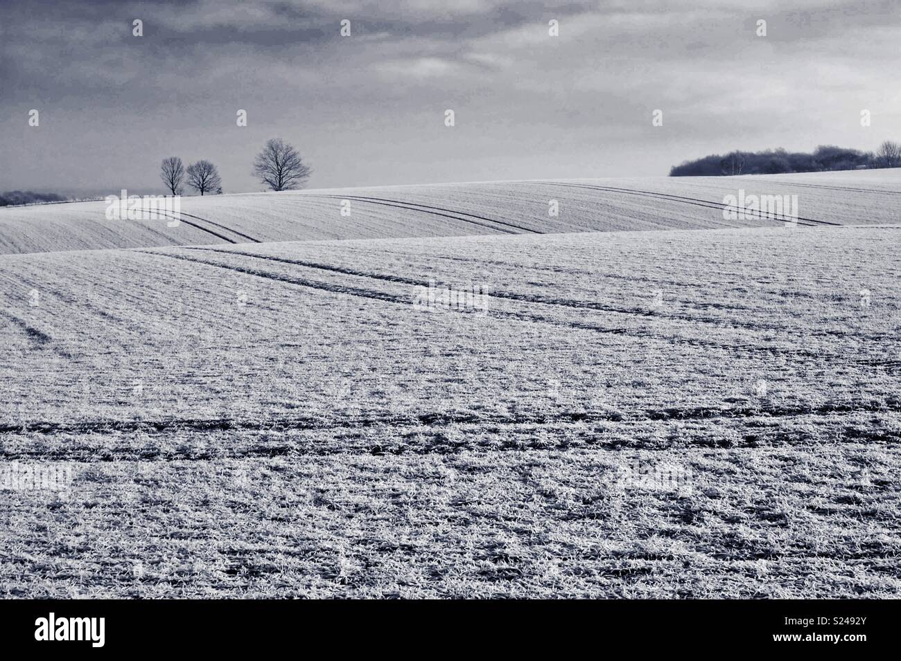 Frozen field hi-res stock photography and images - Alamy