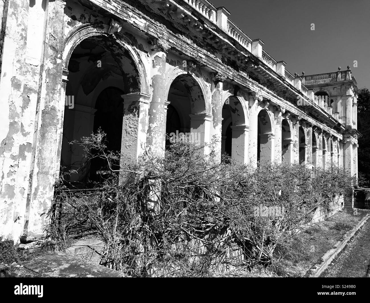 Trentham Ballroom High Resolution Stock Photography and Images - Alamy