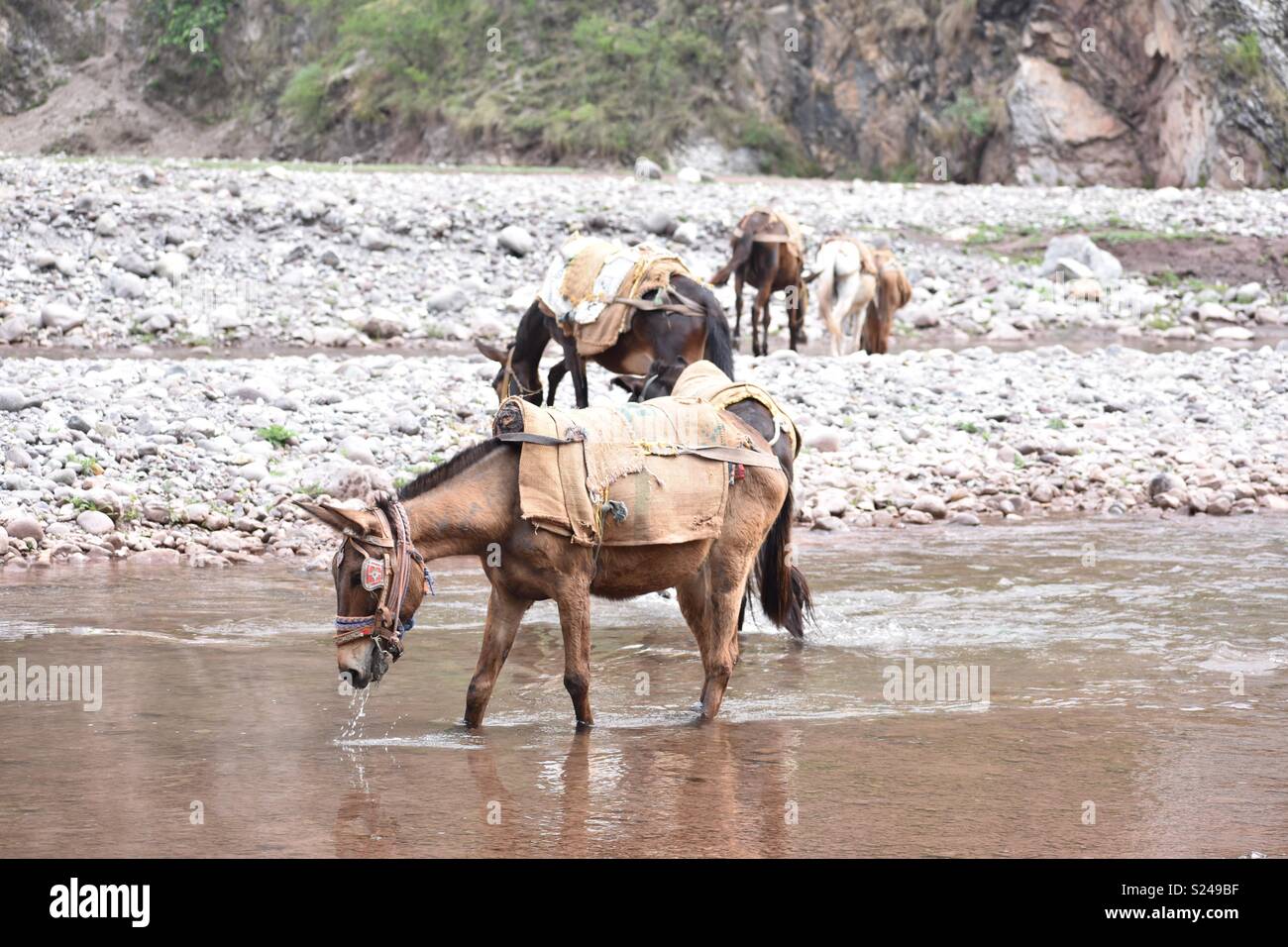 Pacifying nature hi-res stock photography and images - Alamy