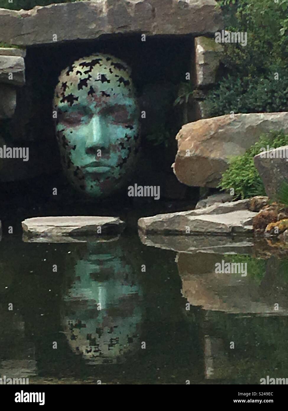 RHS garden winner 2018 face and reflection Stock Photo - Alamy