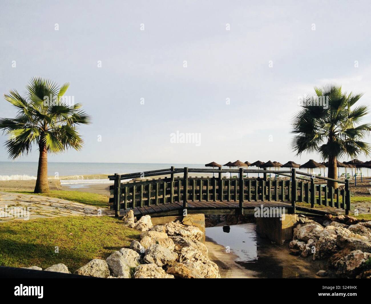 Beach view with bridge and palm trees Stock Photo - Alamy
