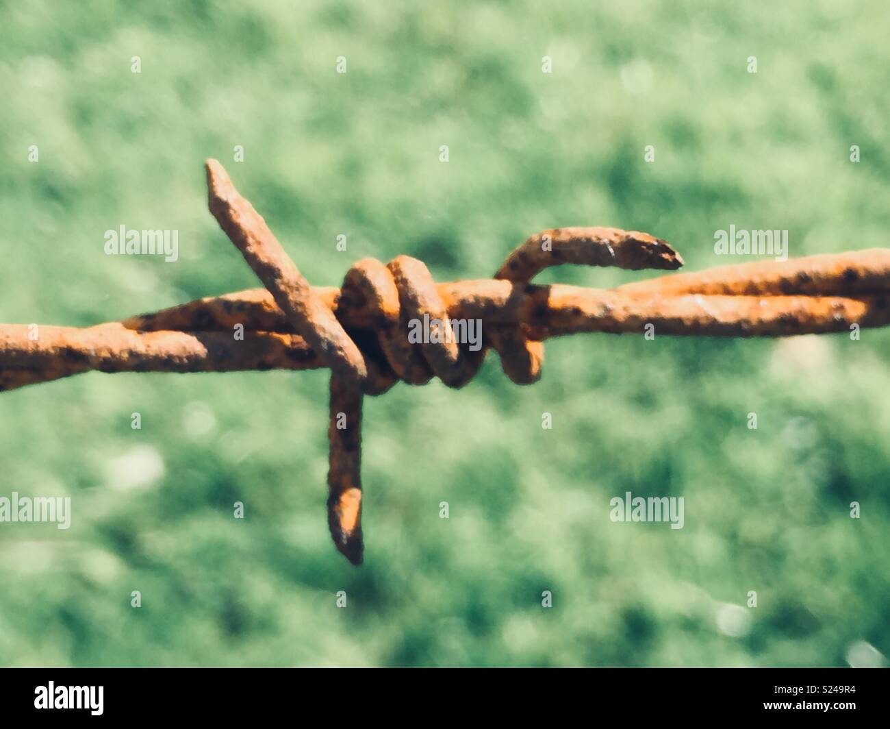 Wire rust hi-res stock photography and images - Alamy