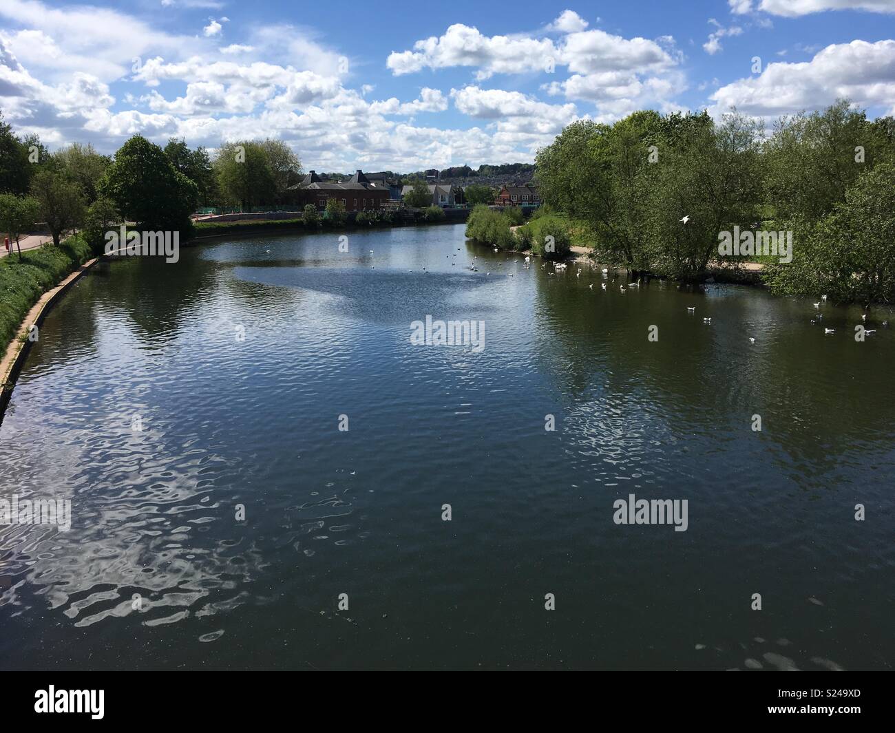Exeter canal hi-res stock photography and images - Alamy