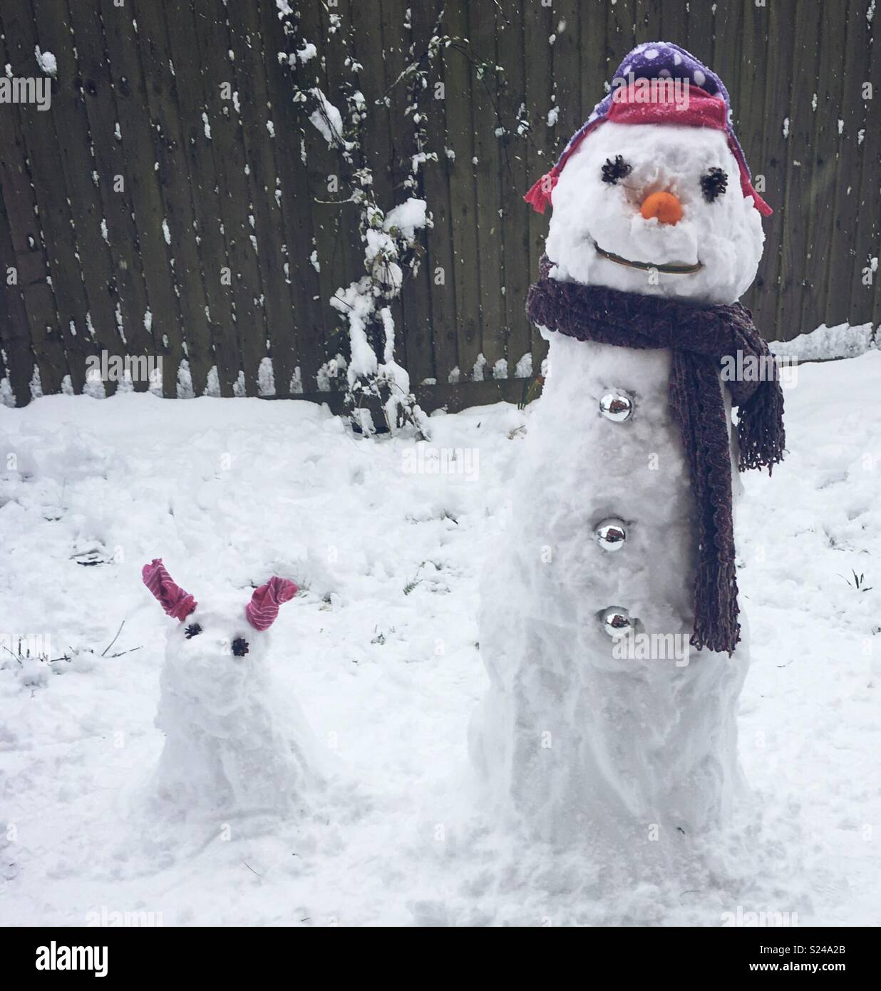 Snow Lady and Snow Dog Stock Photo - Alamy