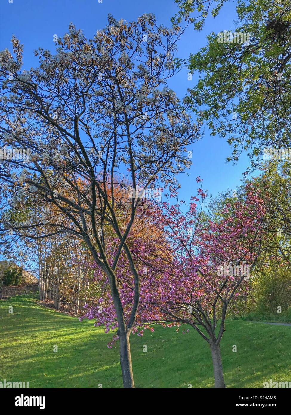 Spring colours hi-res stock photography and images - Alamy