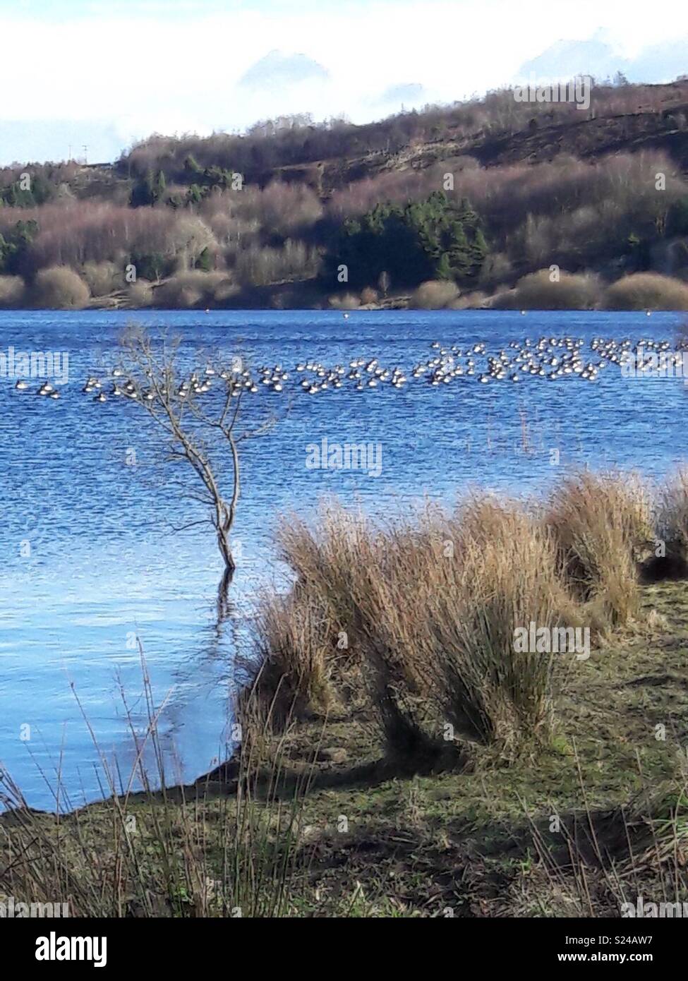 Scammonden dam hi-res stock photography and images - Alamy