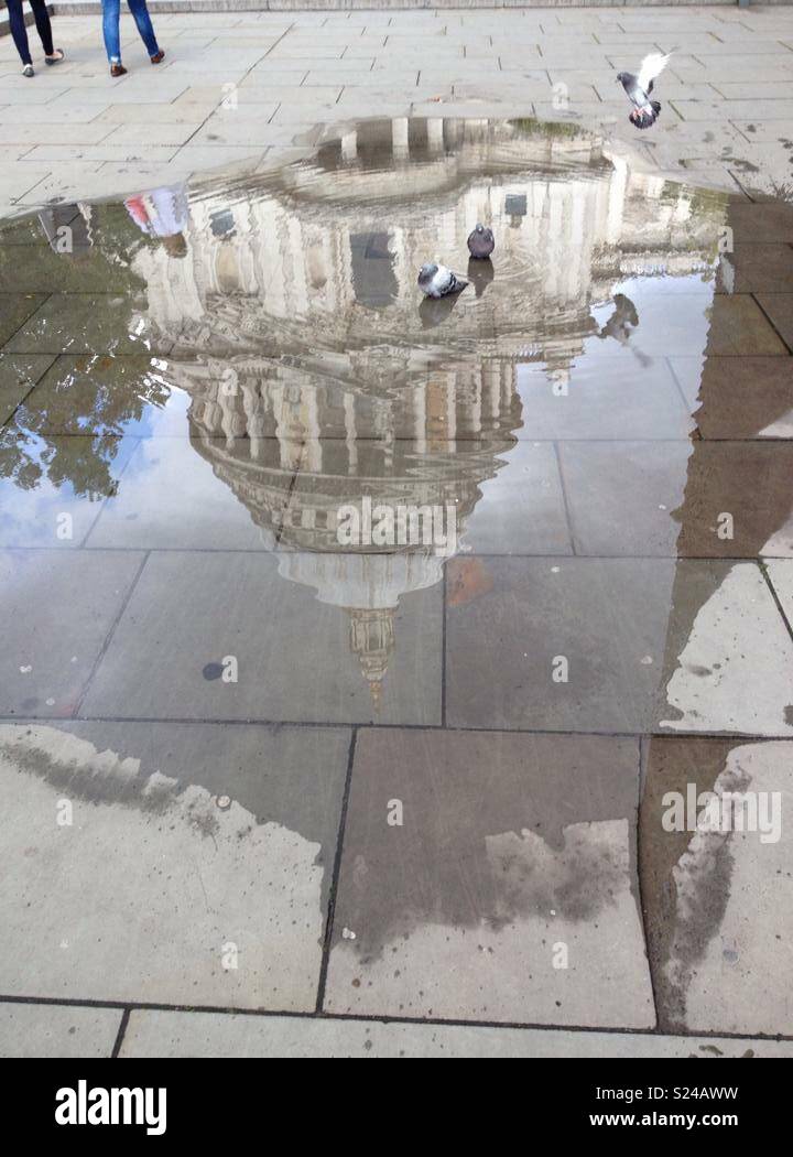 Reflection in a puddle Stock Photo - Alamy