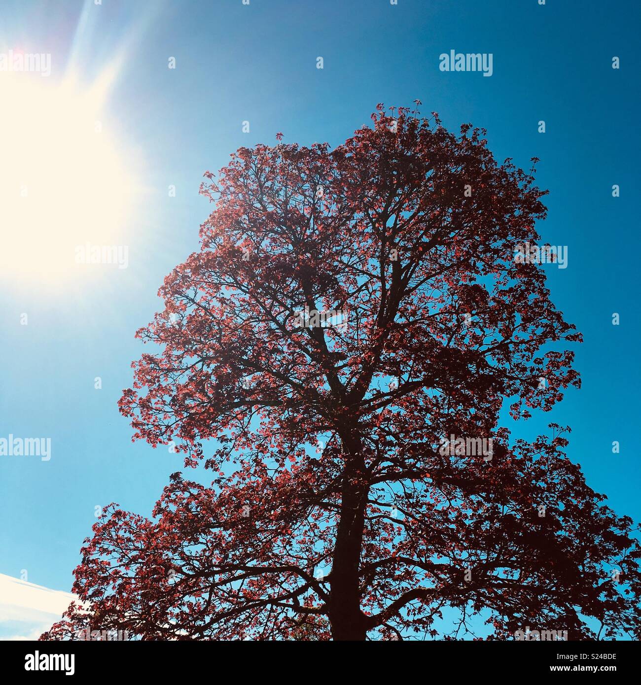 Scottish blue sky hi-res stock photography and images - Alamy